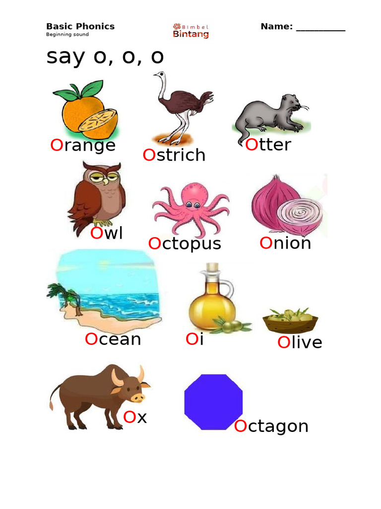 05 Phonics - Short o Sound | PDF