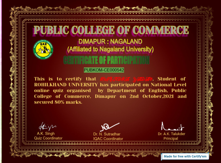 RUPENDRA YADAV Quiz Participation Certificate | PDF