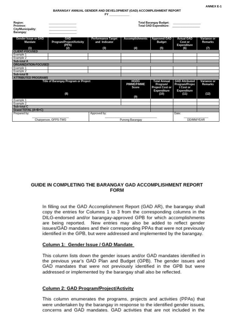Barangay GAD Accomplishment Report | PDF