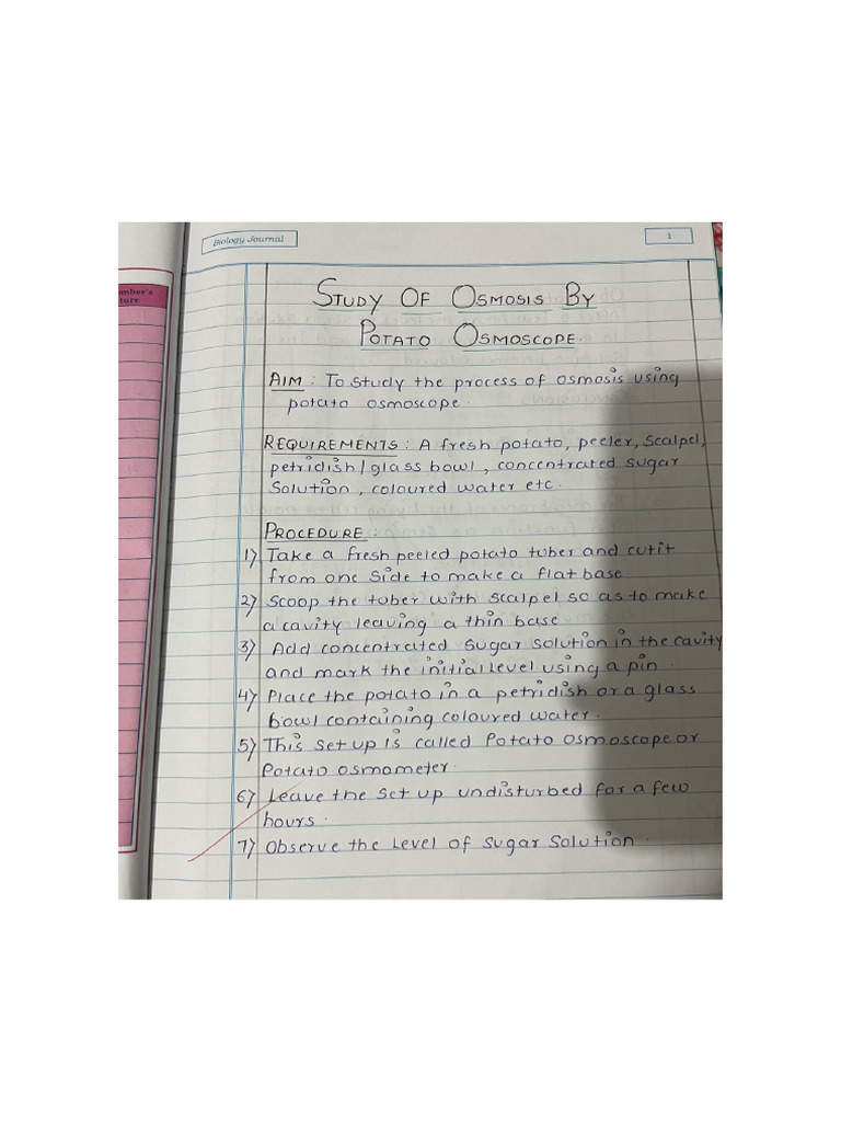Bio Journal | PDF