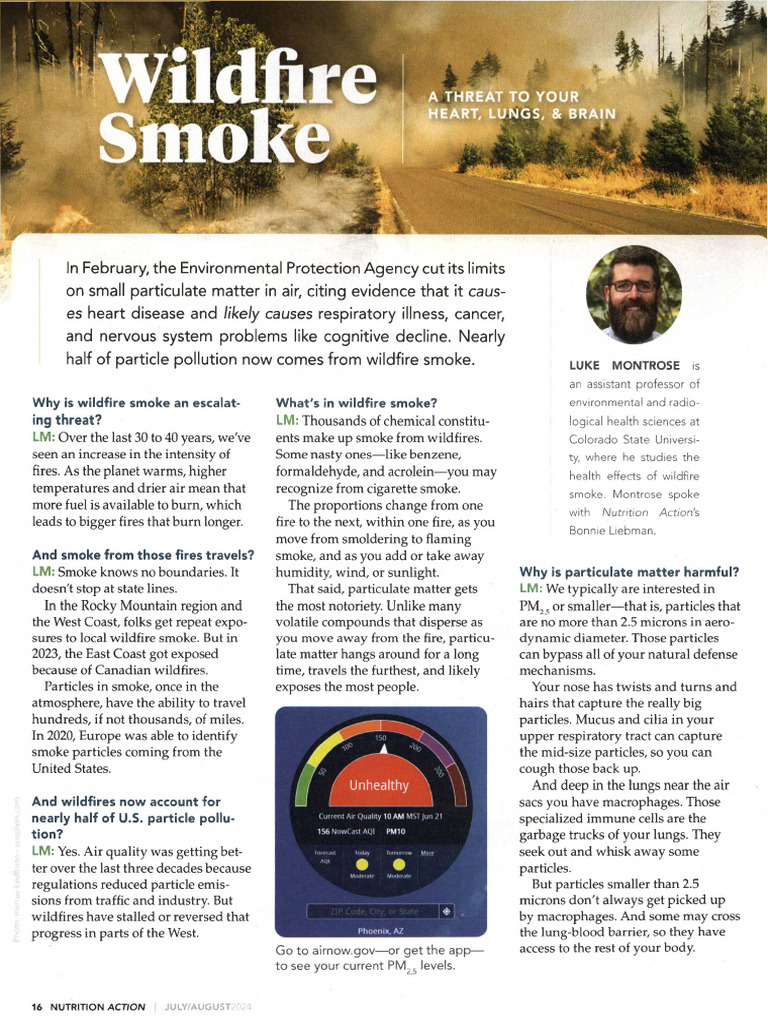 001 Wildfire Smoke | PDF | Smoke | Particulates