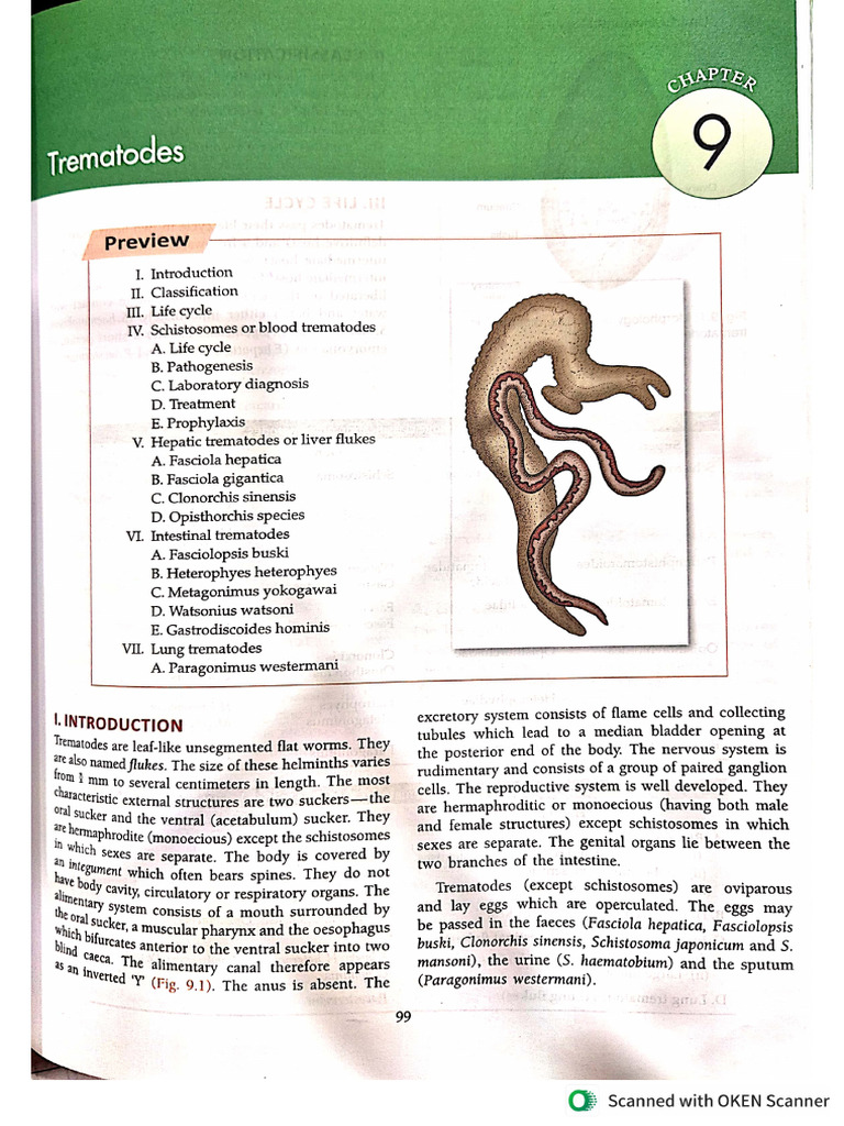 Trematode S | PDF