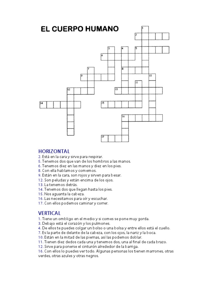 Crucigrama Sobre El Cuerpo Humano