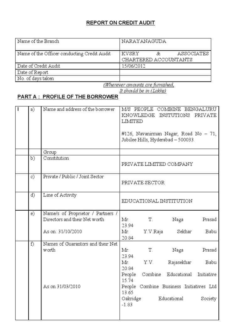 Credit Audit Report for Narayanaguda Branch | PDF | Securities (Finance ...