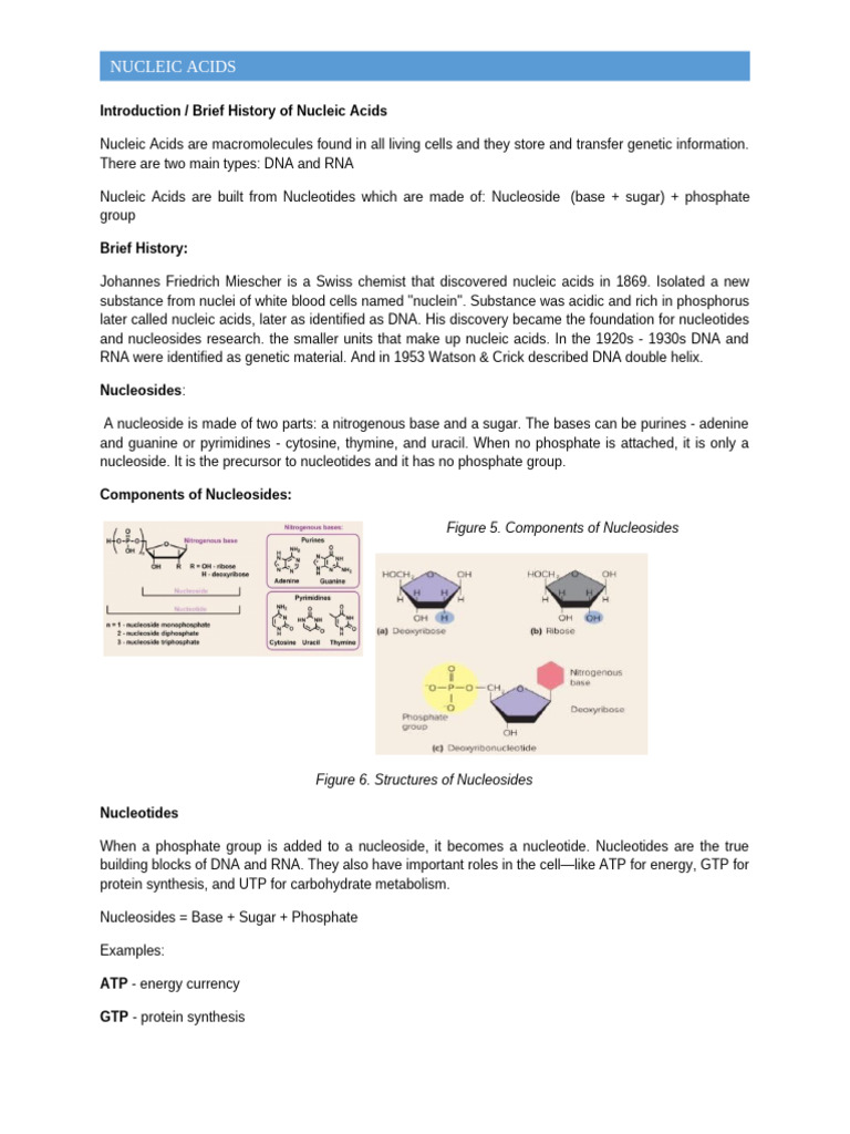 Introduction / Brief History of Nucleic Acids | PDF