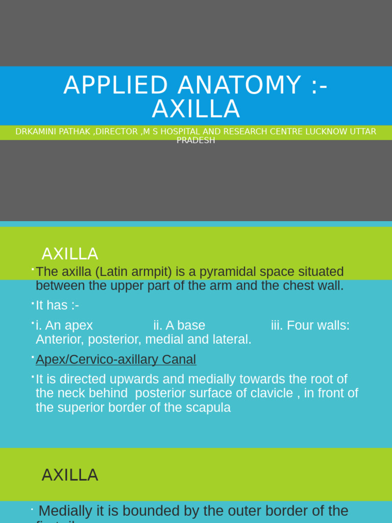 Clinical Importance of Axilla | PDF