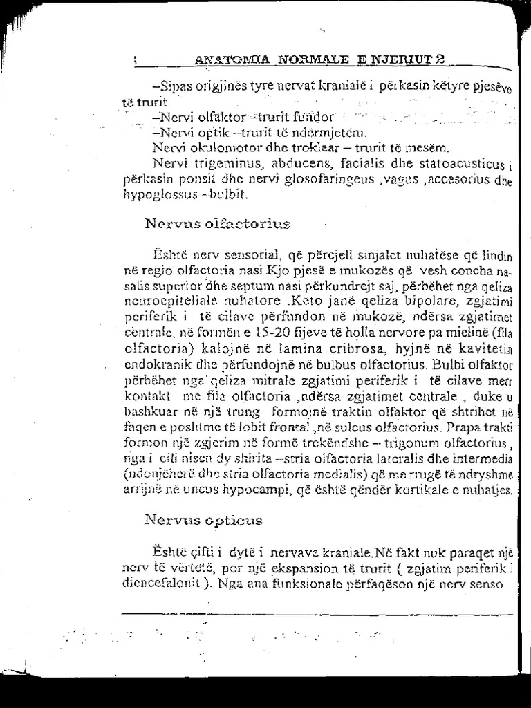 Anatomia e Njeriut 2 | PDF