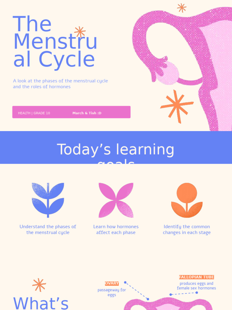 Menstrual Cycle Slides For Grade 10 | PDF | Menstrual Cycle | Sexual ...