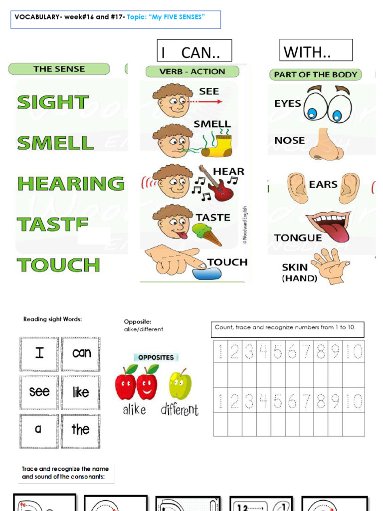 VOCABULARY-week#16 and #17 - Five Sensess | PDF