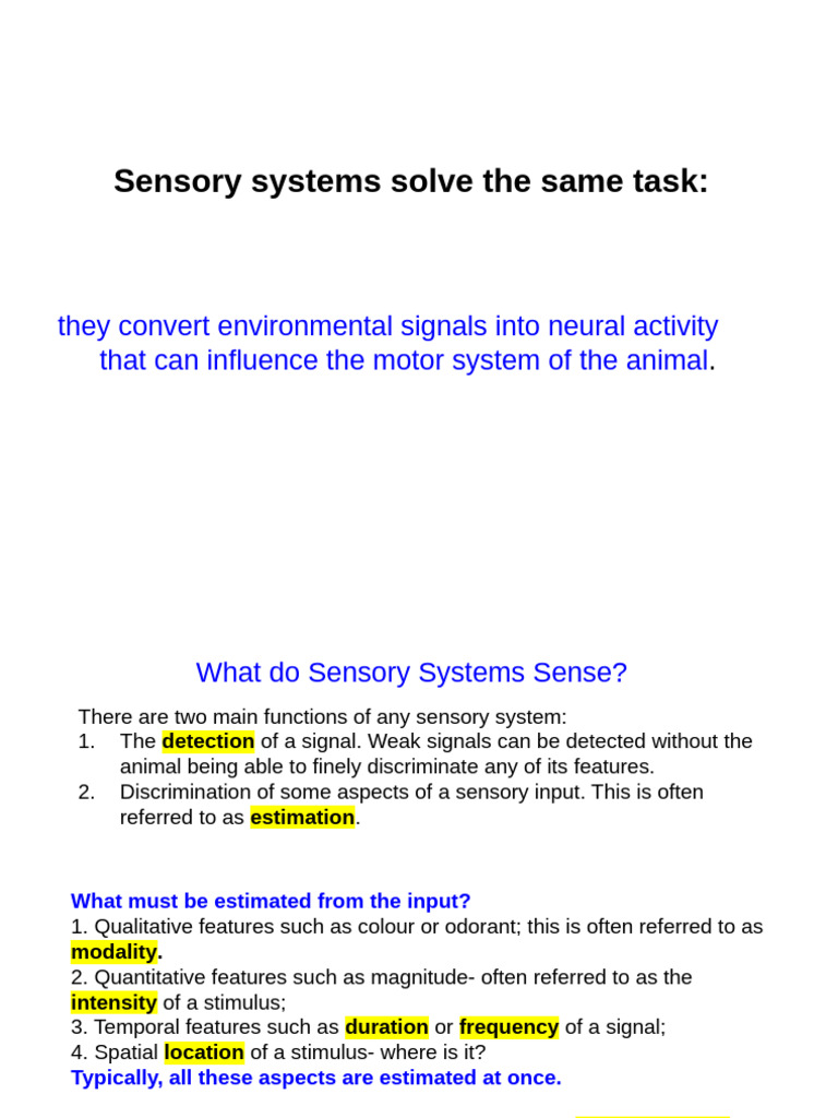 Lecture 12 - Sensory System | PDF | Perception | Pain