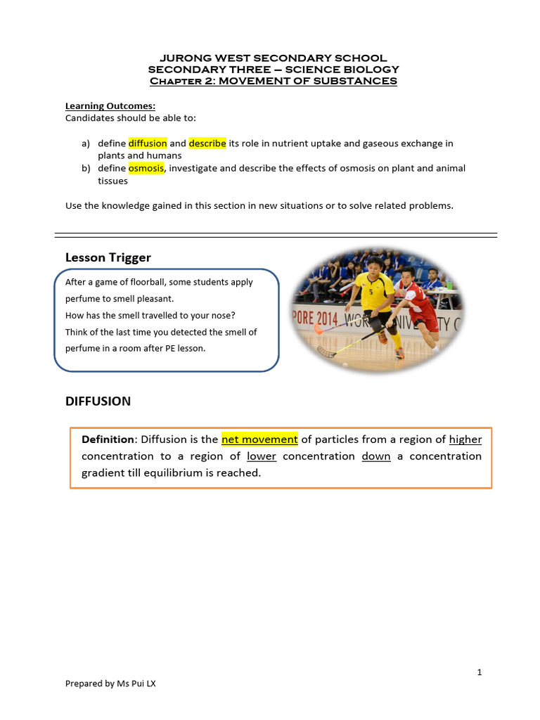 2023 Movement of Substances - Notes | PDF | Osmosis | Diffusion