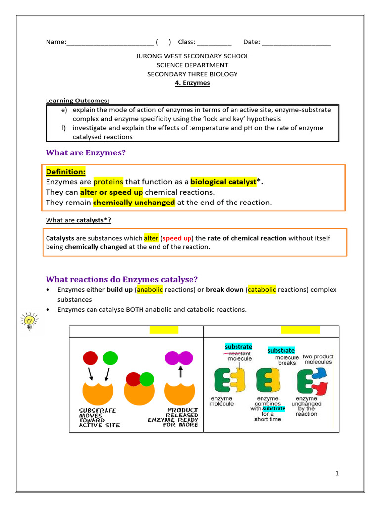 Biology Notes on Enzymes and Their Functions | PDF | Enzyme | Active Site