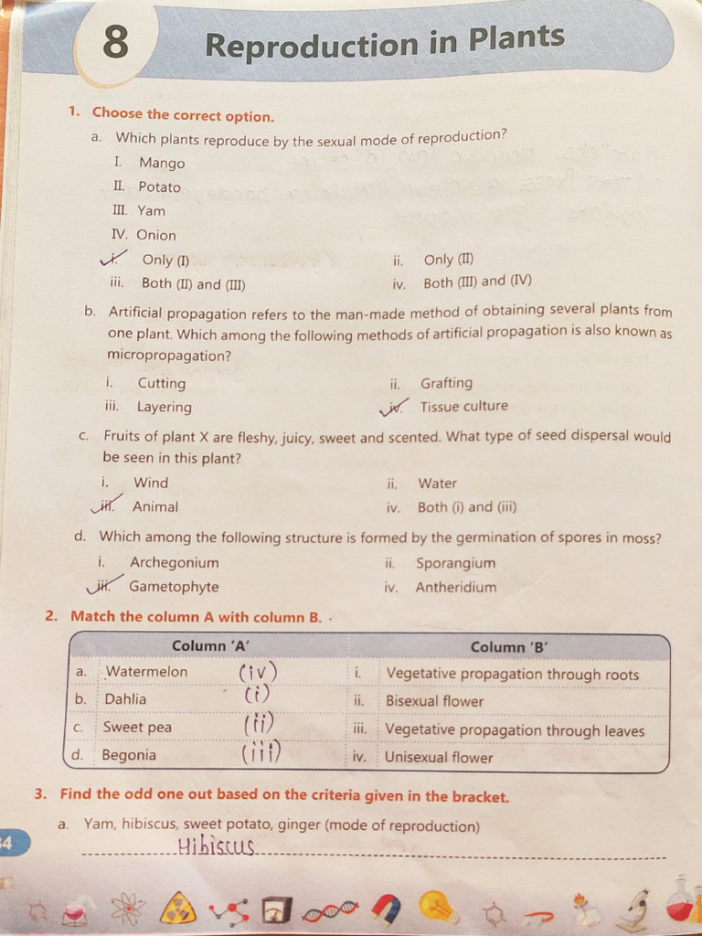 Plant Reproduction Methods Explained | PDF | Seed | Germination