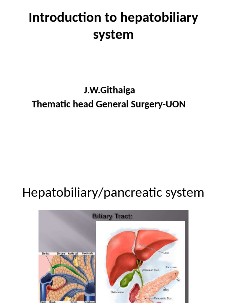 Introduction To Hepatobiliary Surgery | PDF | Pancreas | Exocrine System