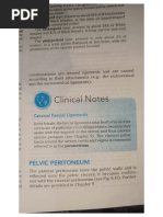 Prostate Fossa Contouring Guide | PDF | Prostate | Urinary Bladder