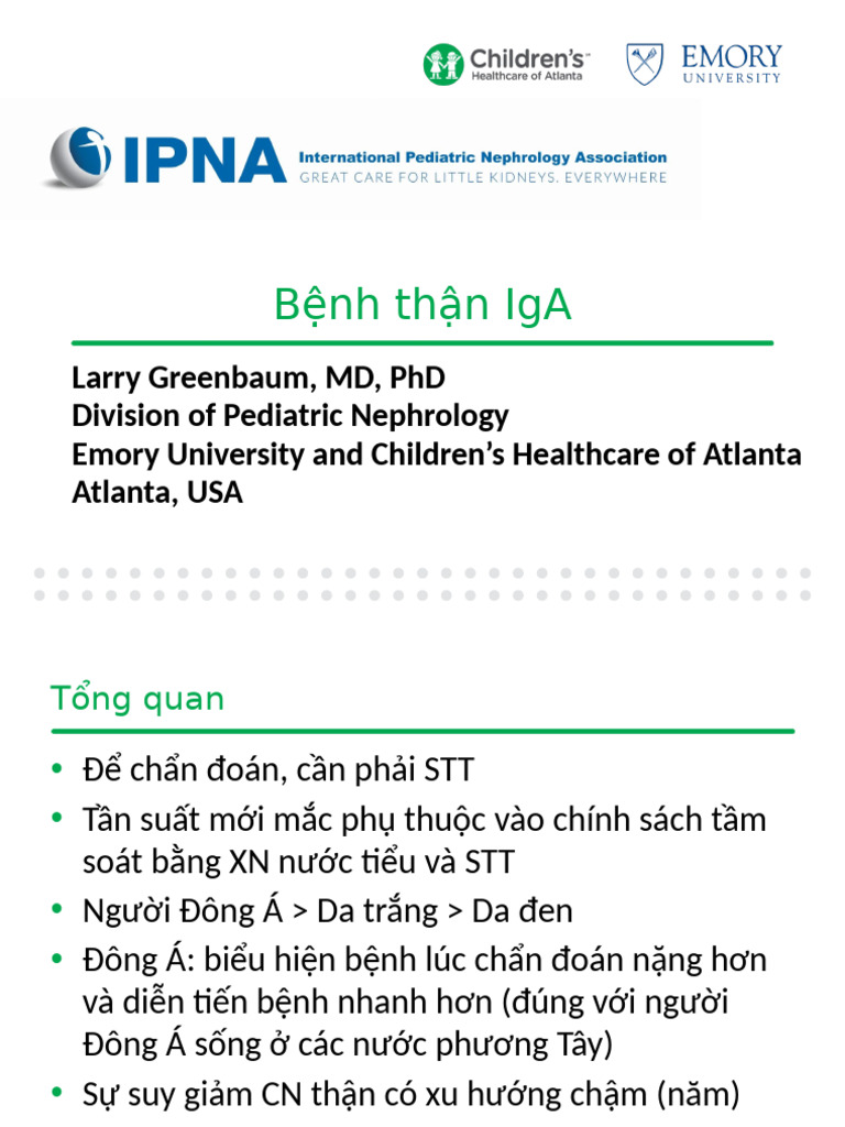 VN. IgA For Vietnam IPNA Meeting 2025 | PDF