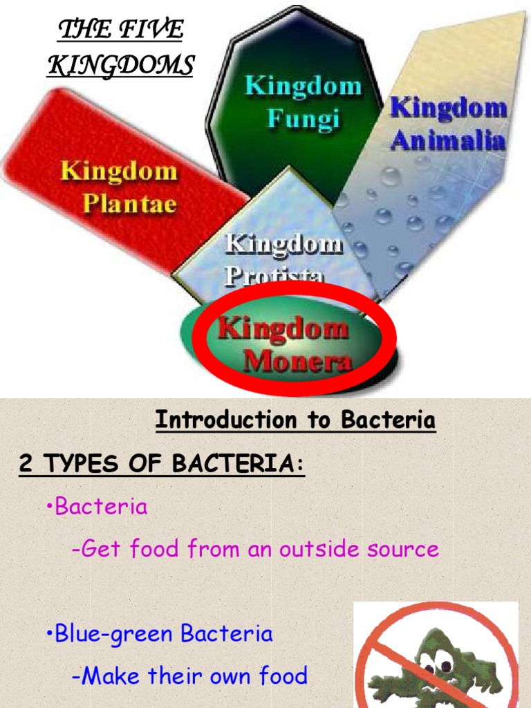 Overview of Bacteria Types and Structures | PDF | Bacteria | Cell (Biology)