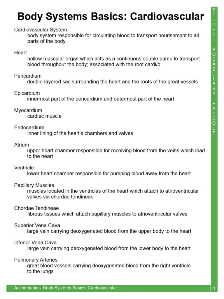 Cardiovascular System Vocabulary Guide | PDF | Heart | Heart Valve