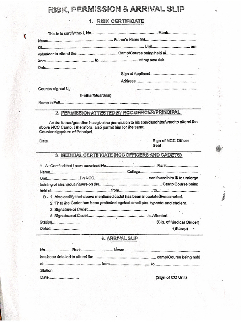 Risk Form | PDF