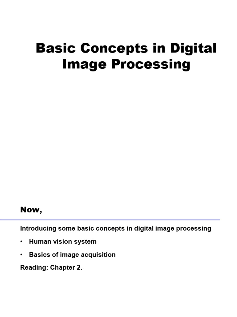 lect2 | PDF | Visual Perception | Perception