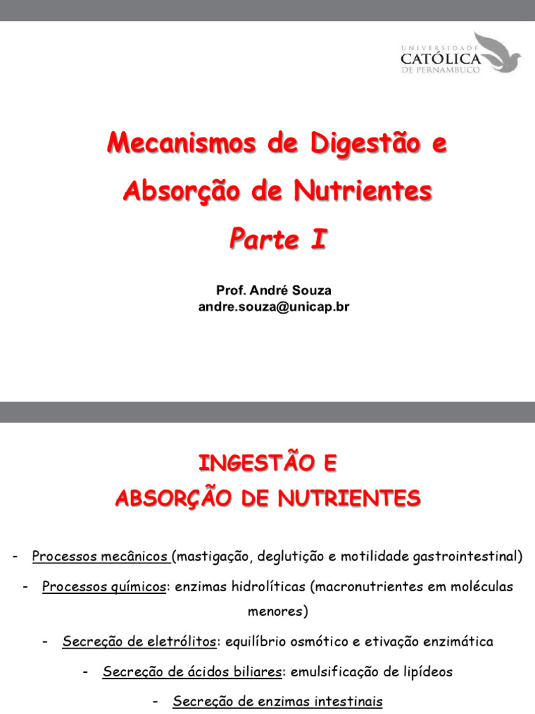 Digestão e Absorção de Nutrientes | PDF | Digestão | Doença celíaca