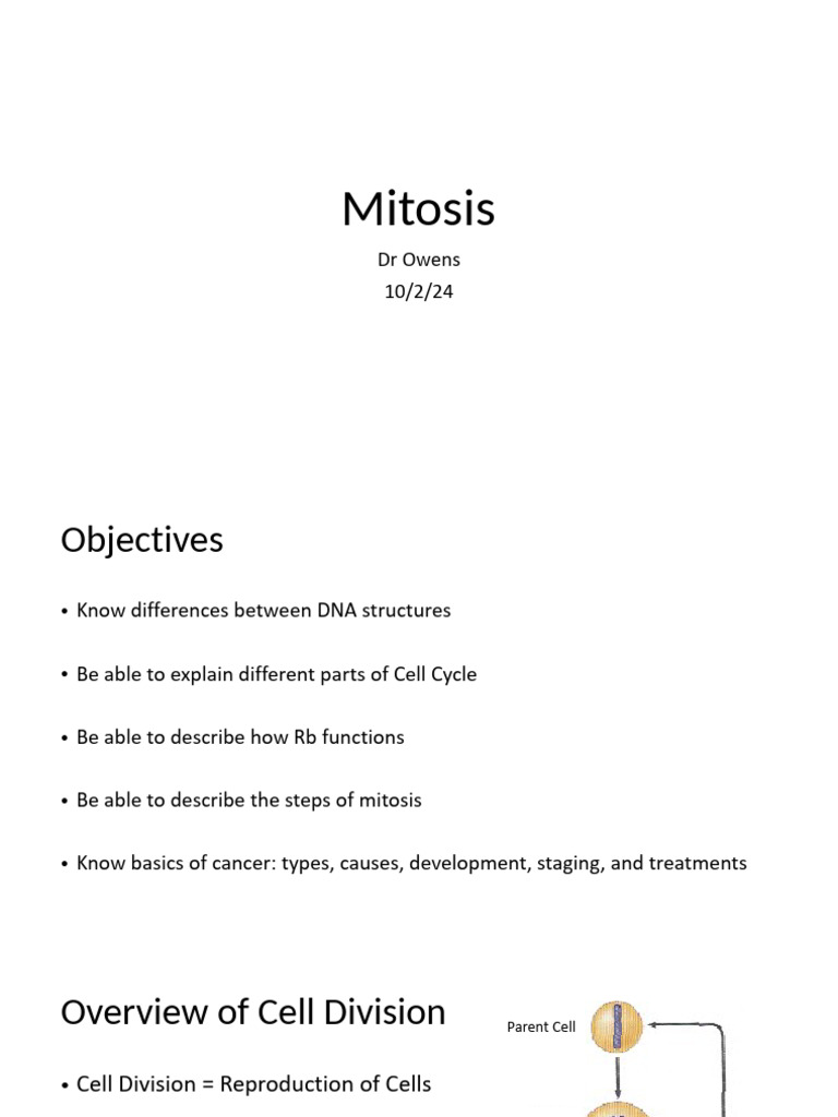 Mitosis and Cancer Overview Guide | PDF | Mitosis | Cell Cycle