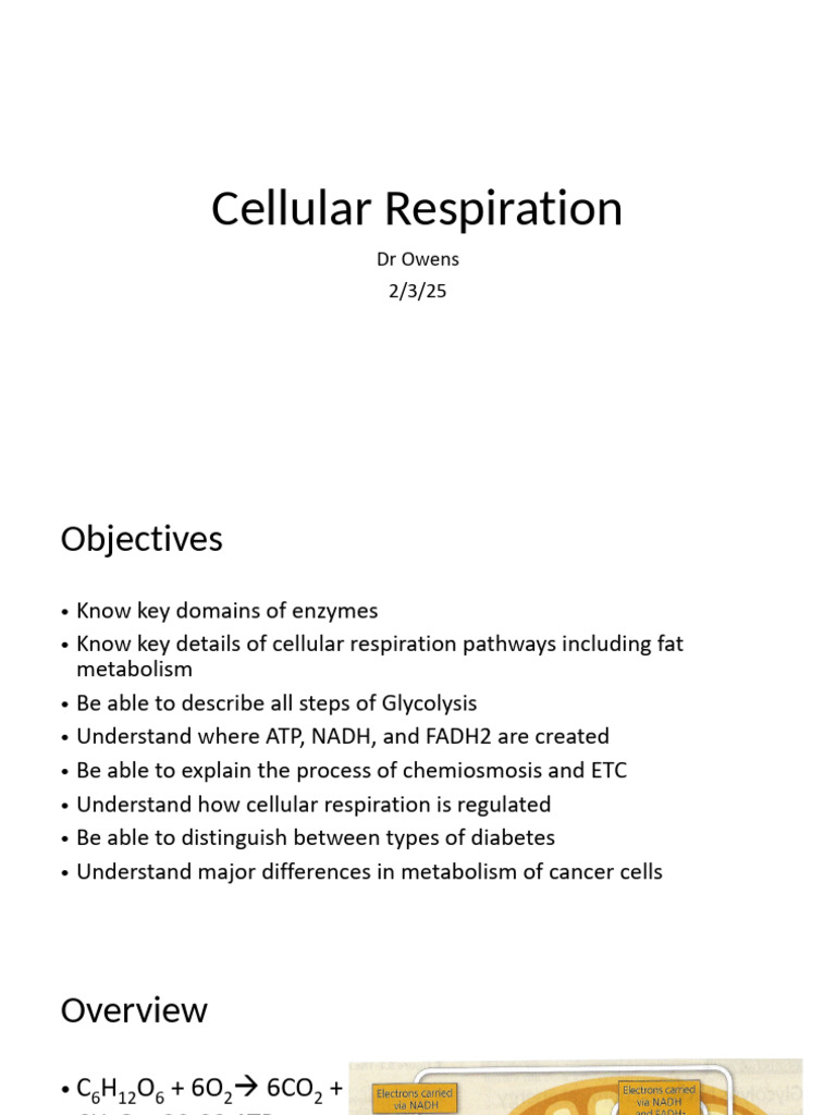 Cellular Respiration and Metabolism Insights | PDF | Cellular ...