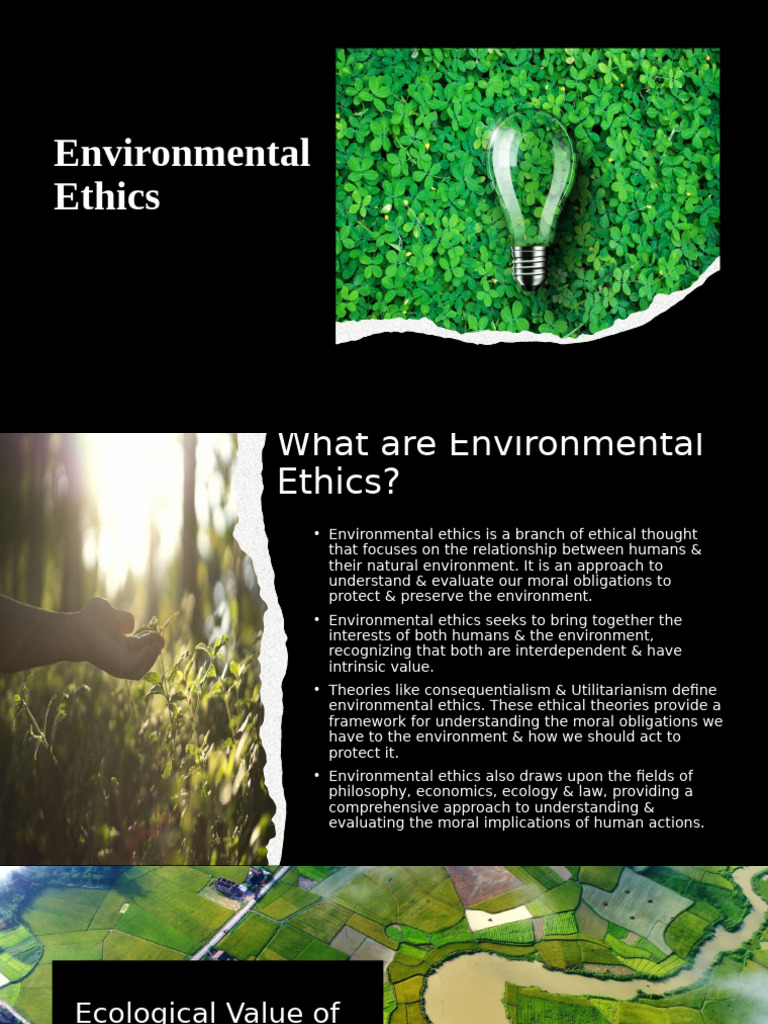 Understanding Environmental Ethics and Values | PDF | Environmental ...
