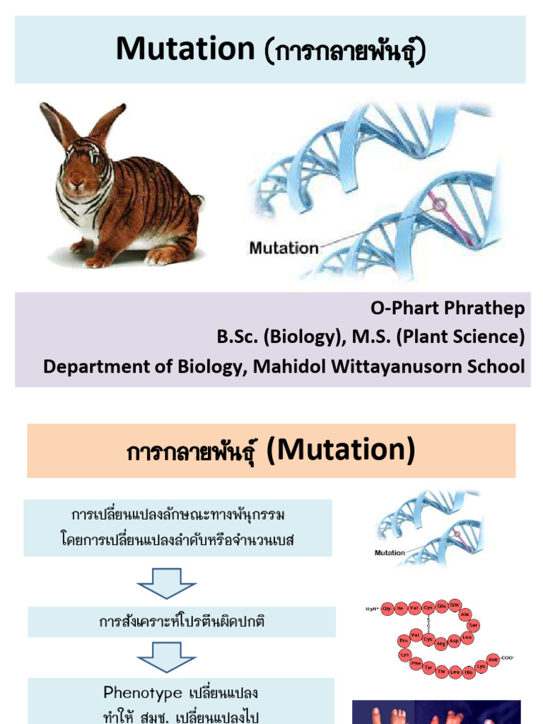 mutation ...