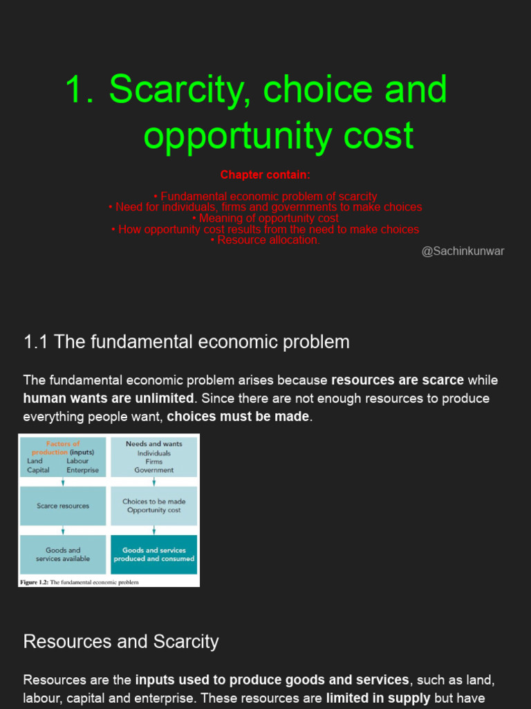 Understanding Scarcity and Opportunity Cost | PDF | Economic Inequality ...