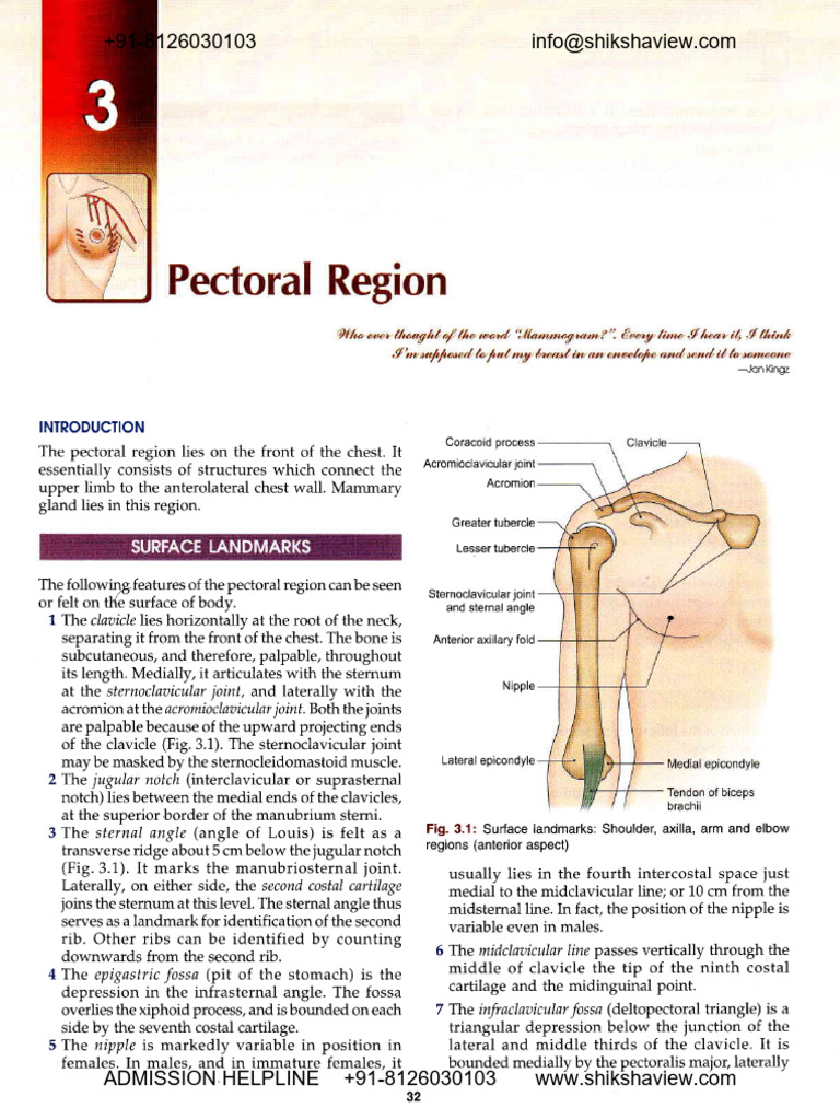 Anatomy of the Pectoral Region | PDF | Thorax | Musculoskeletal System