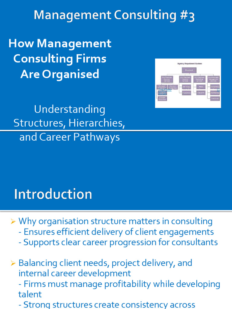 Consulting Firm Structures Explained | PDF | Business | Economies