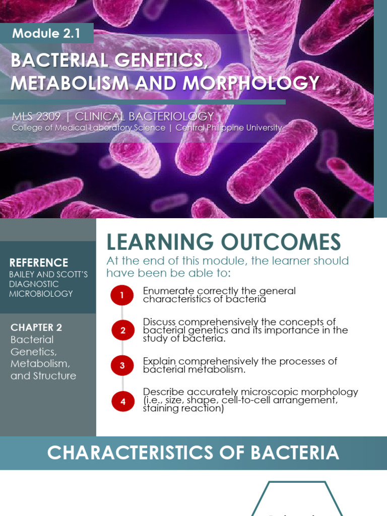 2. Bacterial Physiology | PDF | Bacteria | Cell (Biology)