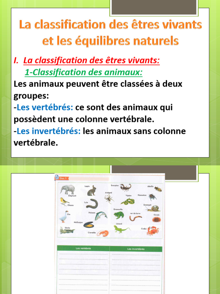 Classification des animaux : vertébrés et invertébrés | PDF