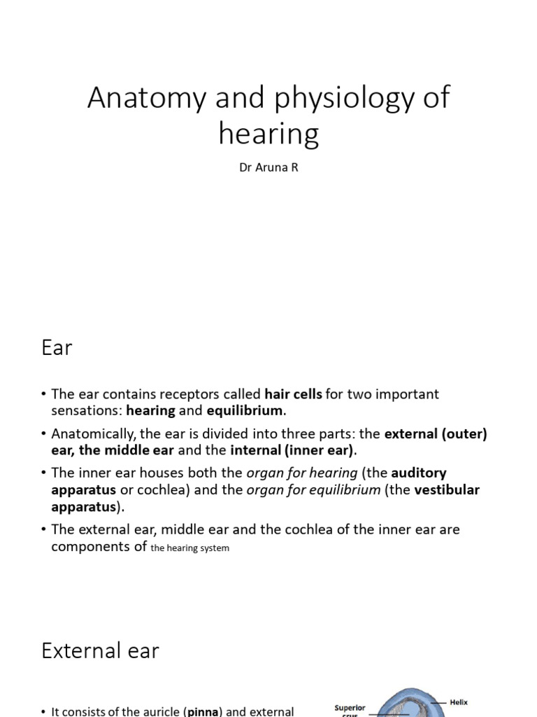 ematerial_anatomy-and-physiology-of-hearing-by-dr--aruna-1678711714 ...