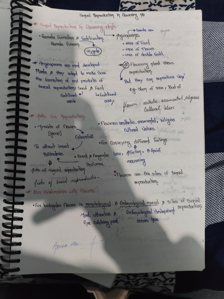 Sexual Reproduction in Flowering Plants Handwritten Notes | PDF