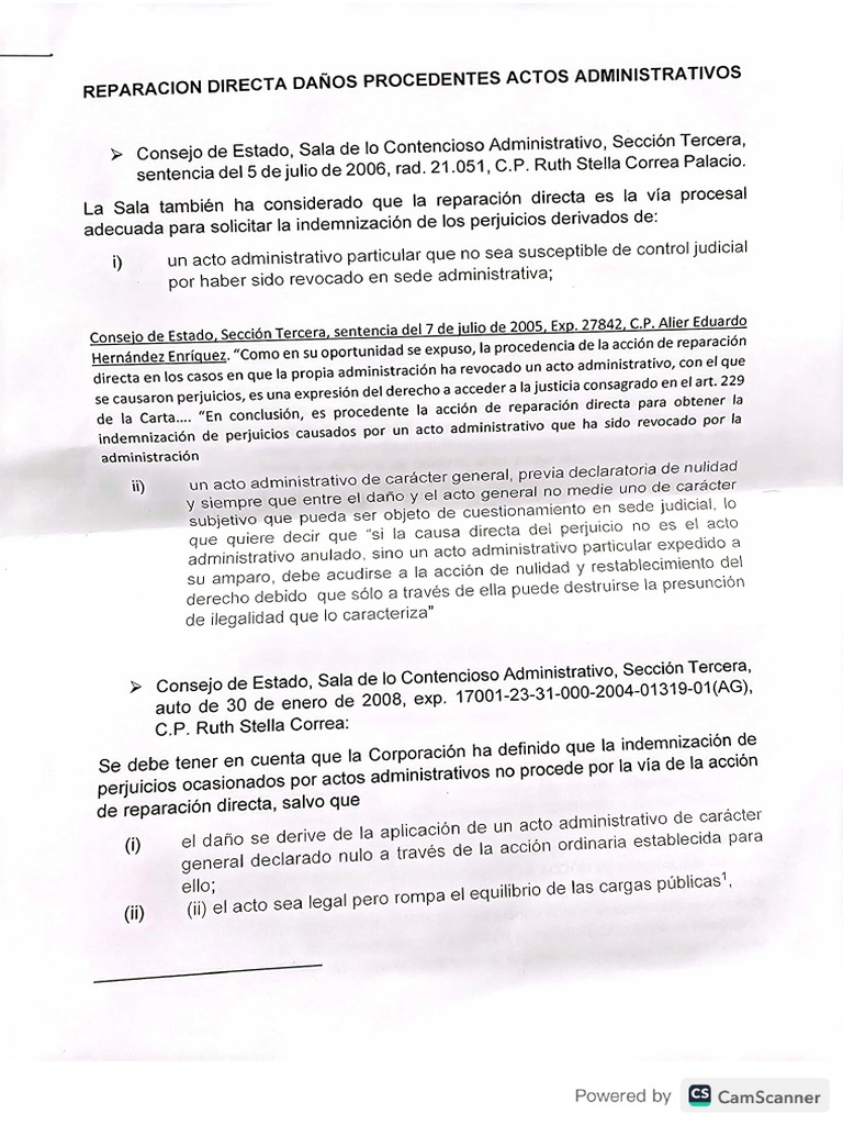 Rep Directa Act Adm | PDF