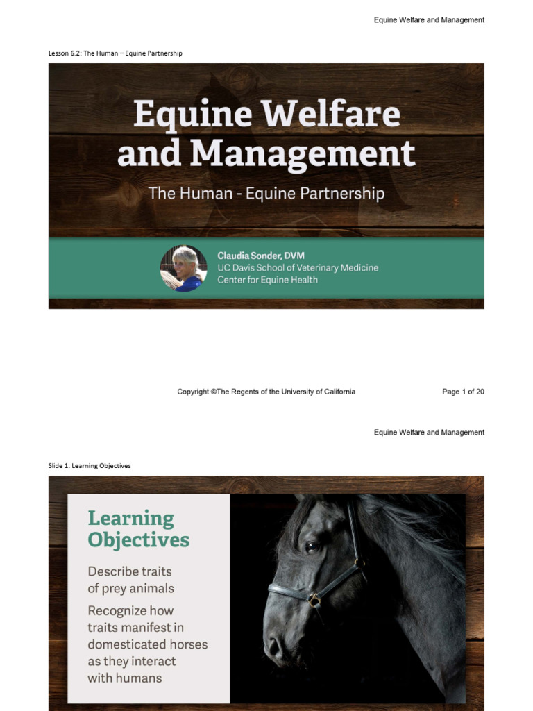 human equine partnership | PDF | Horses | Domestication