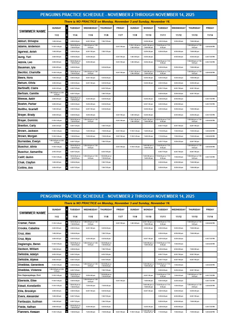 Penguins Swim Practice Schedule 2025 | PDF