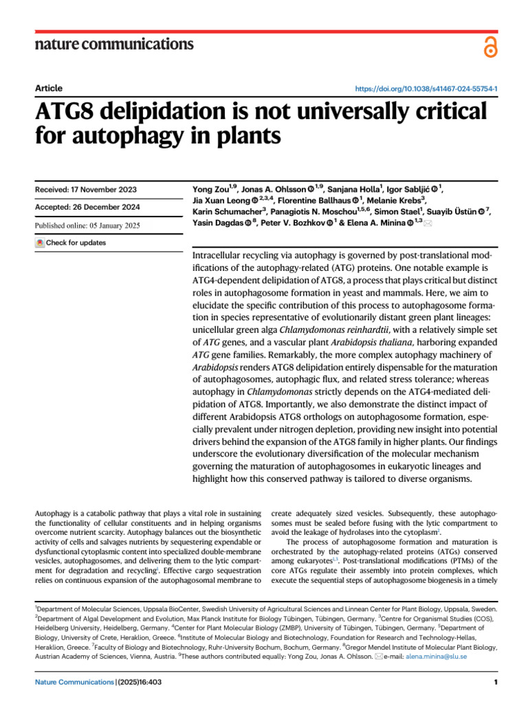 ATG8 Delipidation in Plant Autophagy | PDF | Autophagy | Cell Biology