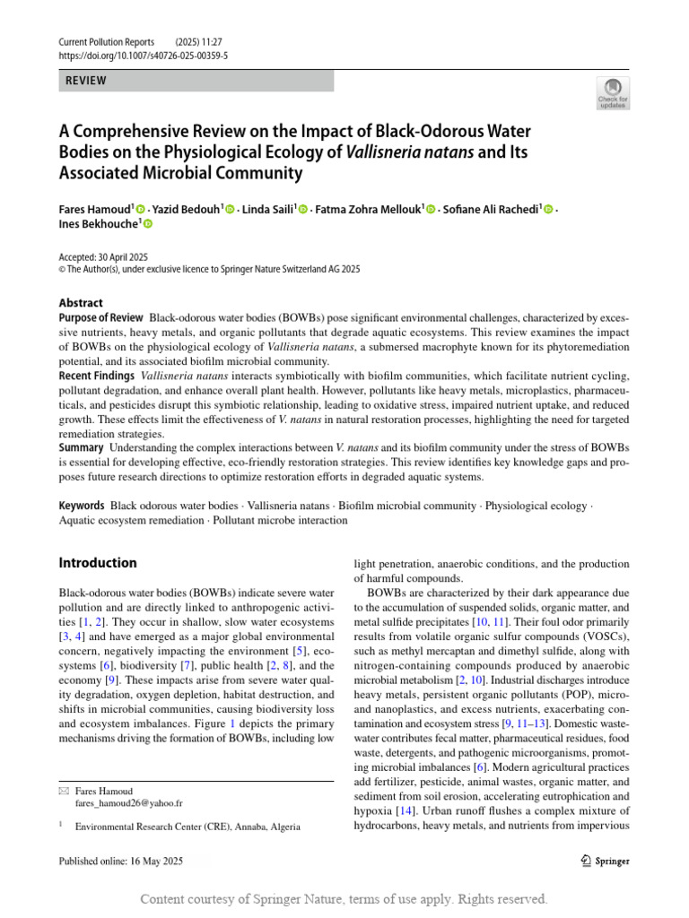 A Comprehensive Review on the Impact of Black-Odor | PDF | Water ...
