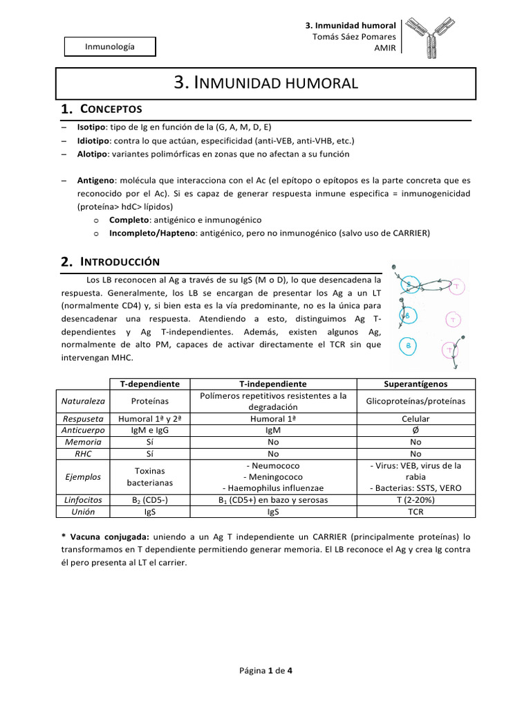 IM - 3. Inmunidad Humoral | PDF | Sistema complementario | Biología