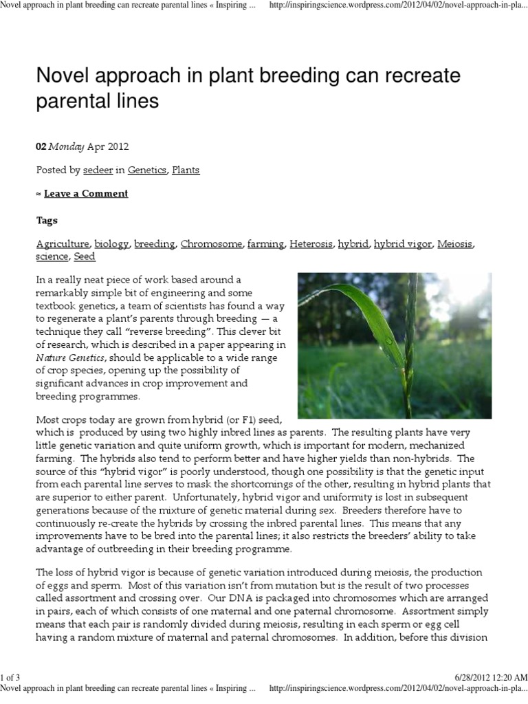 Reverse Breeding in Plant Genetics | PDF