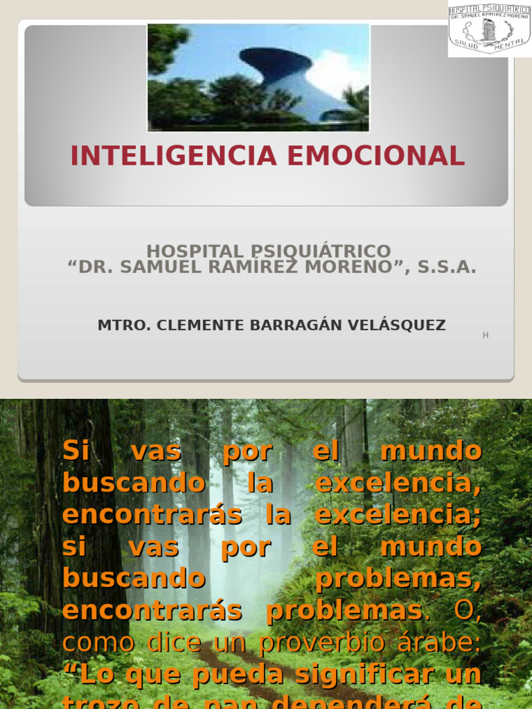 IEMO-ORGANIZACIONAL | PDF | Las emociones | Inteligencia emocional