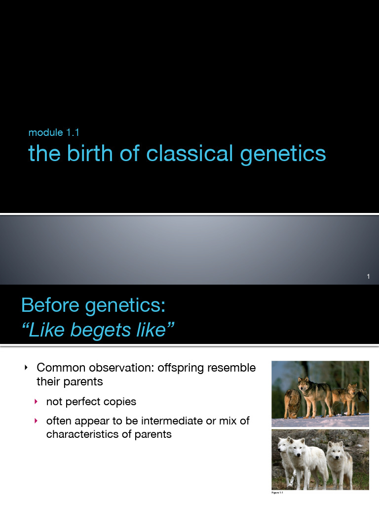 Lecture 3832-1-1 2 Classical Genetics | PDF