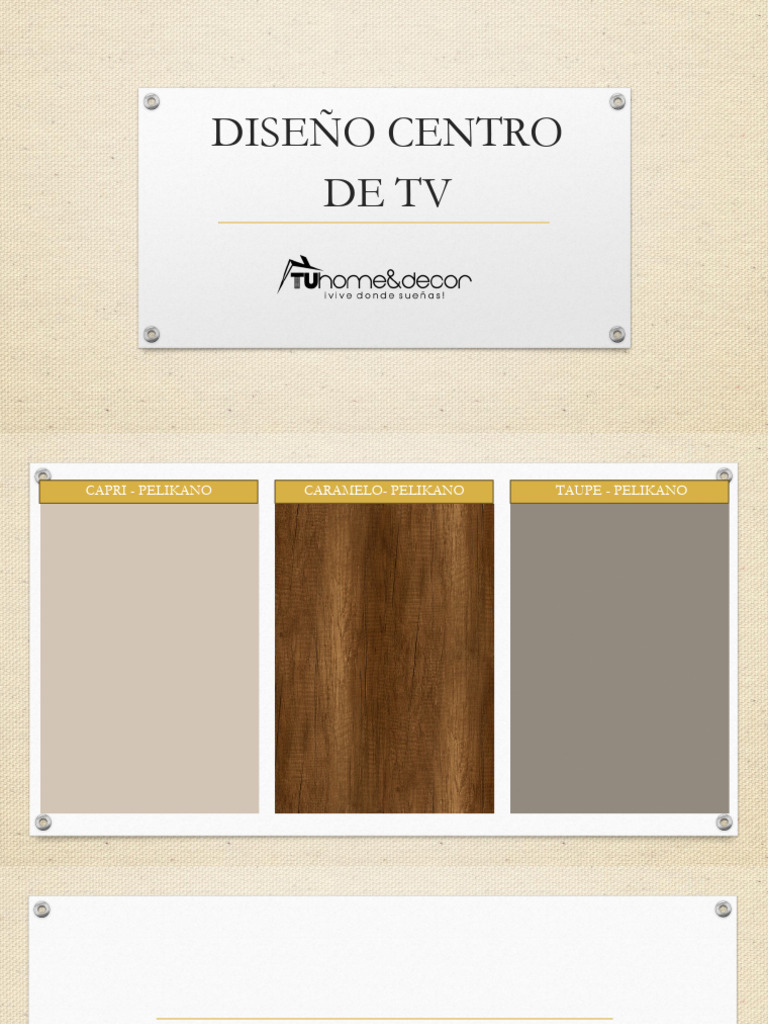 Diseño de Centro de TV Pelikano | PDF
