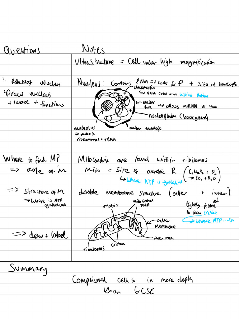 Cell Ultrastructure Notes | PDF