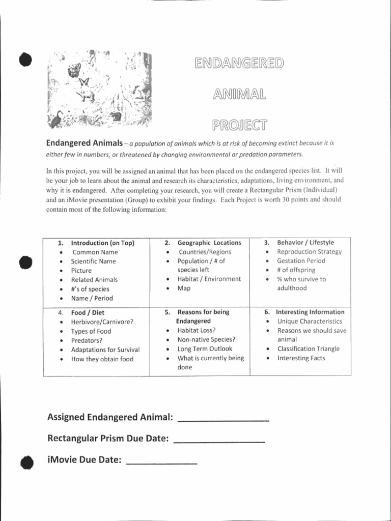 Endangered Animal | PDF