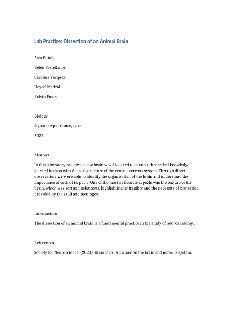 Lab Practice Dissection Animal Brain APA | PDF