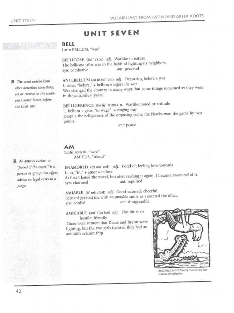 Unit 7 Vocabulary | PDF